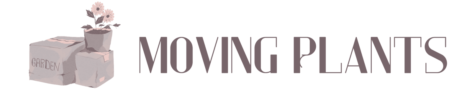 Z Movers | Moving Company